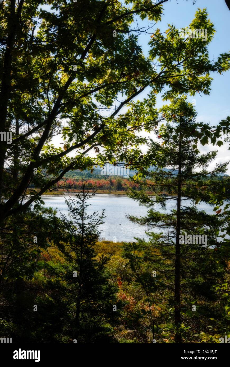 Witch Hole Pond in Acadia National Park on Mount Desert Island, Maine ...