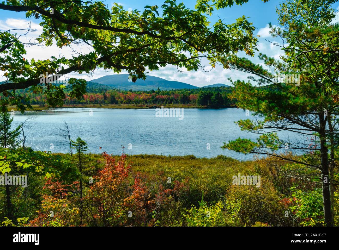 Witch Hole Pond in Acadia National Park on Mount Desert Island, Maine ...
