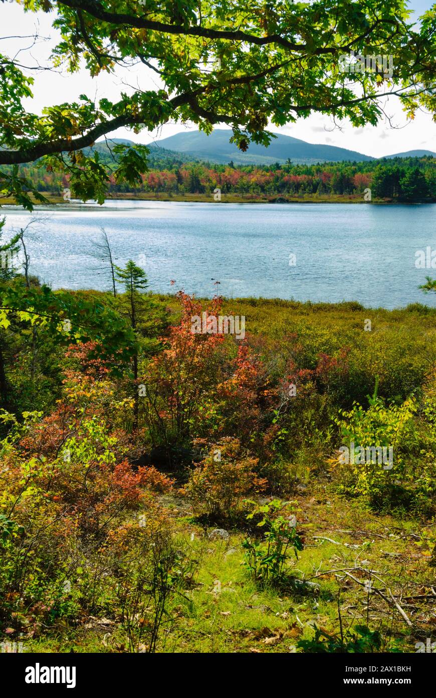 Witch hole pond hi-res stock photography and images - Alamy