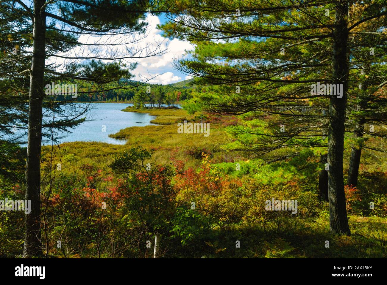 Witch Hole Pond in Acadia National Park on Mount Desert Island, Maine ...