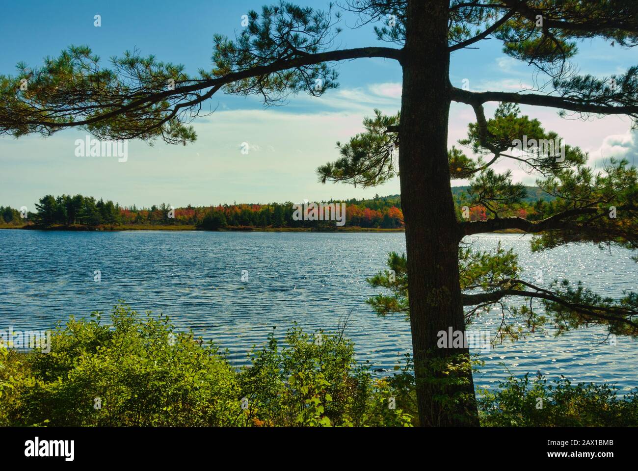 Witch Hole Pond in Acadia National Park on Mount Desert Island, Maine ...