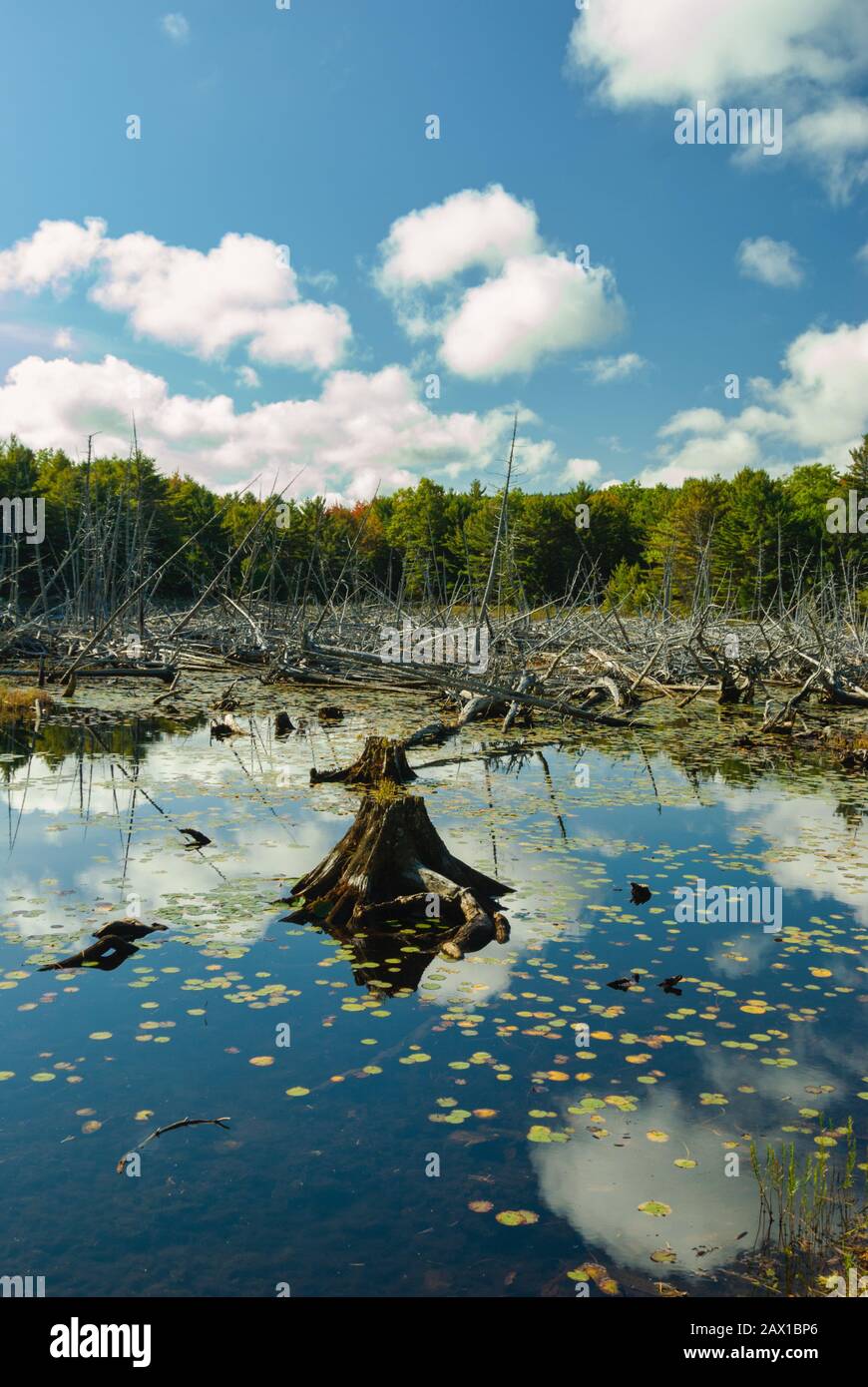 Breakneck ponds hi-res stock photography and images - Alamy