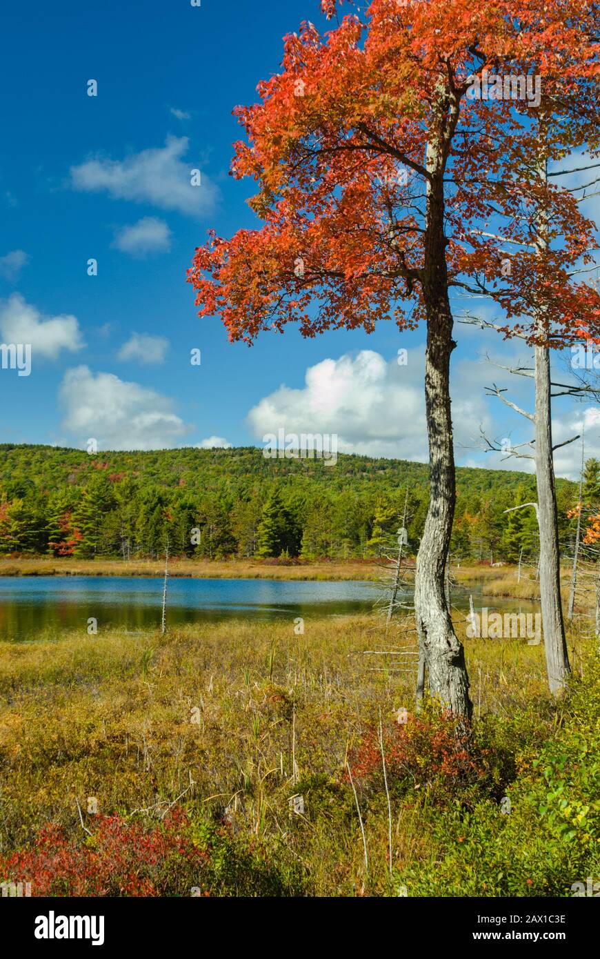 Breakneck ponds hi-res stock photography and images - Alamy