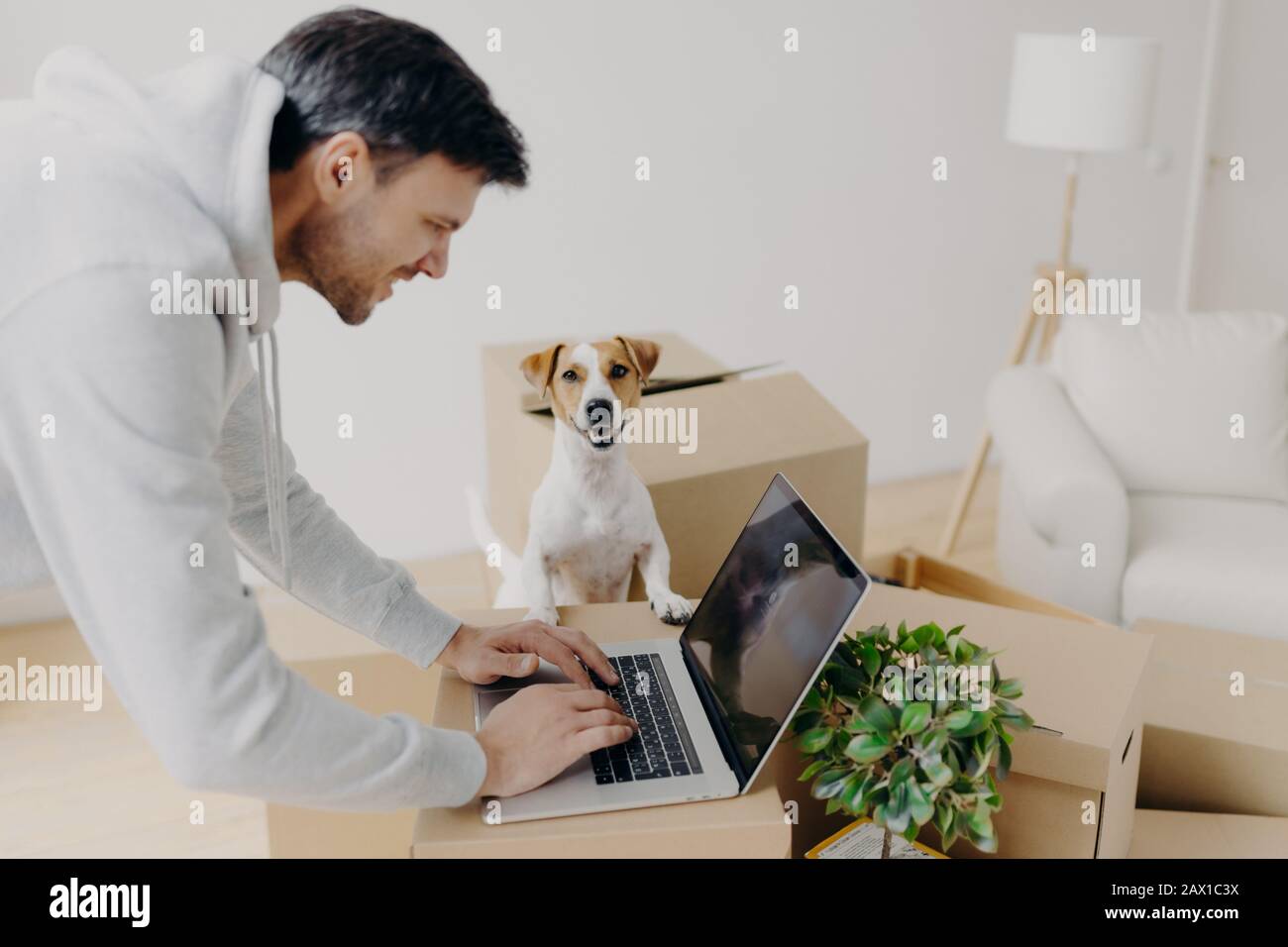 Satisfied hard working man busy searching information on laptop ...