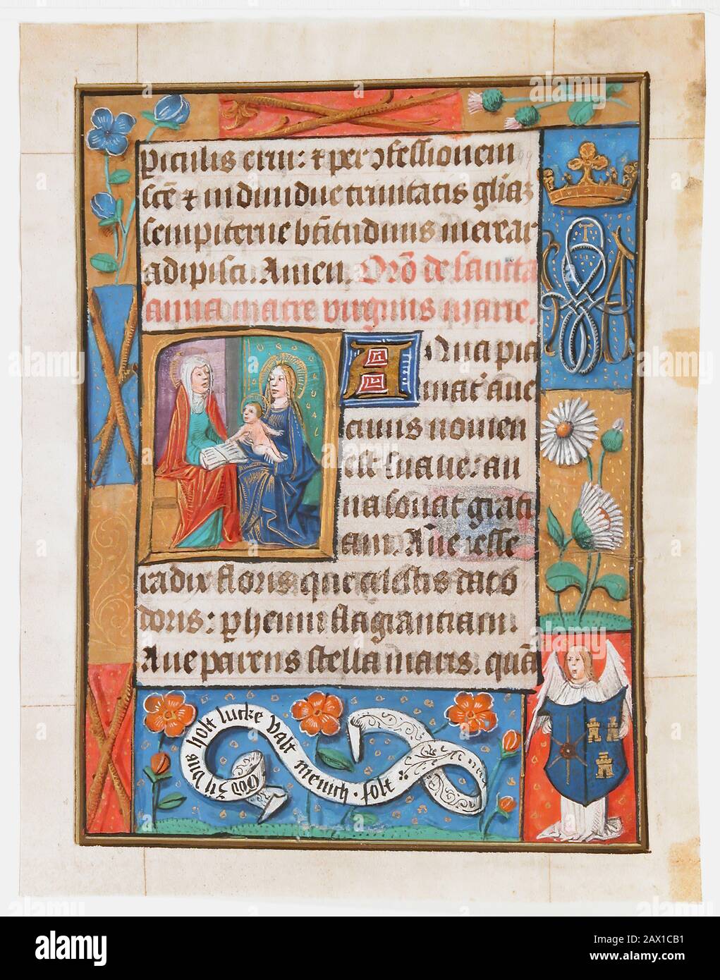 Daisy flower manuscript hi-res stock photography and images - Alamy