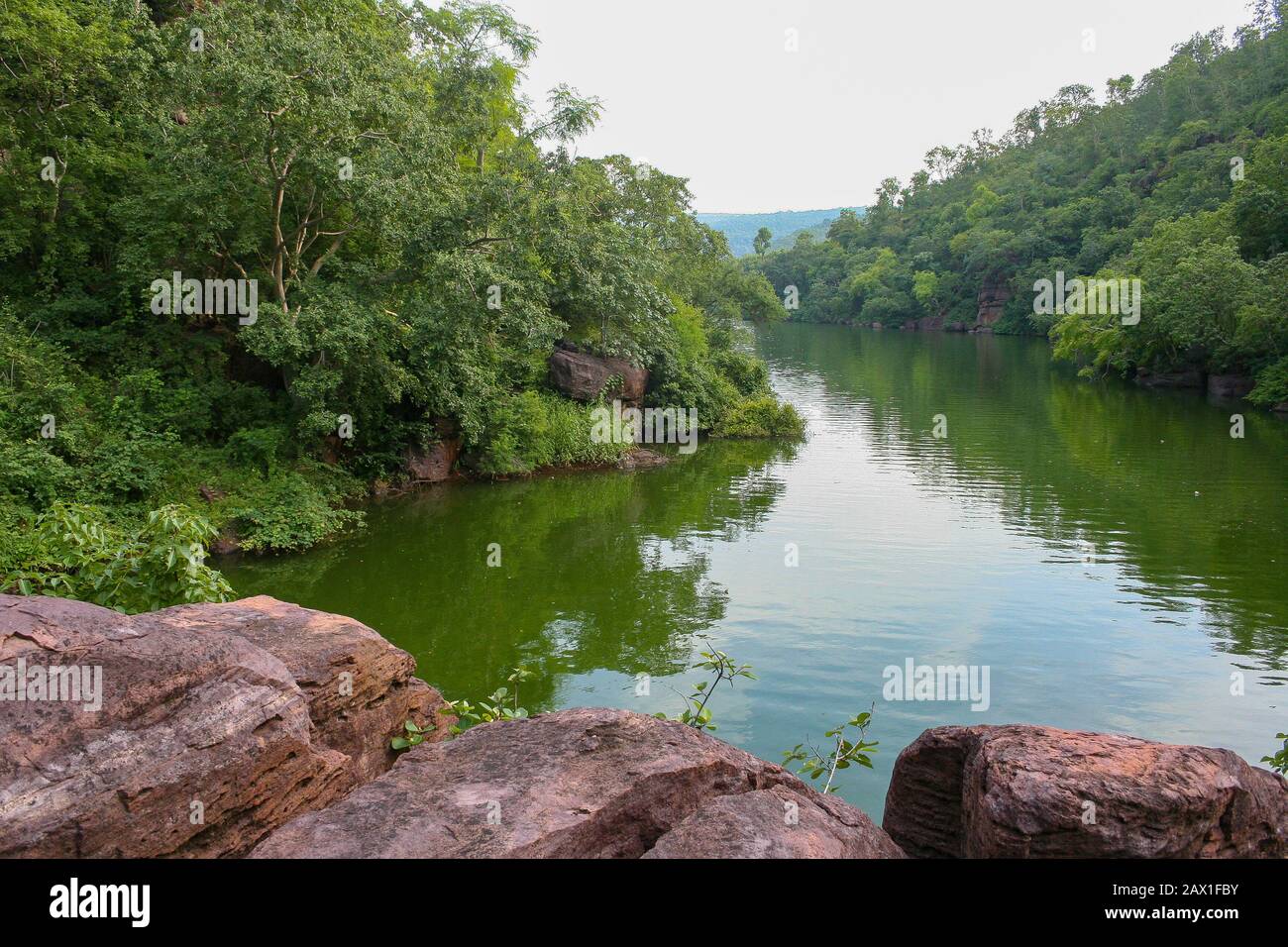 Srisailam forest hi-res stock photography and images - Alamy