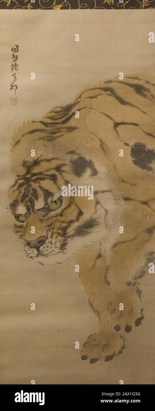 Tiger, early 19th century Stock Photo - Alamy