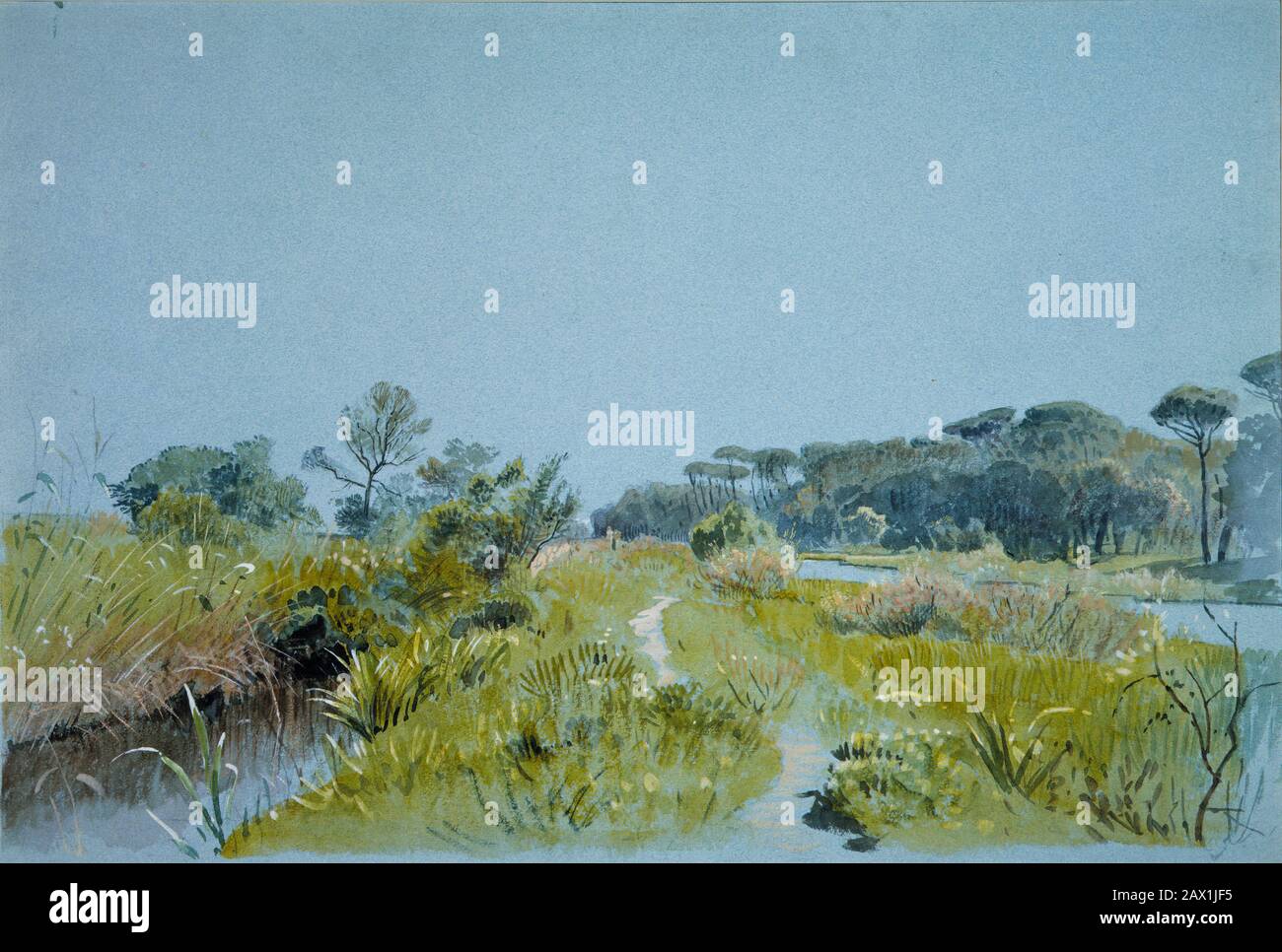 Castel fusano rome hi-res stock photography and images - Alamy