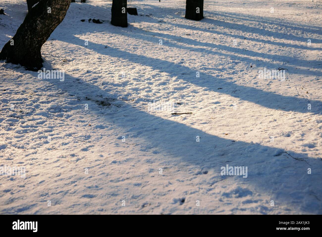 Close up of footsteps in snow Stock Photo - Alamy