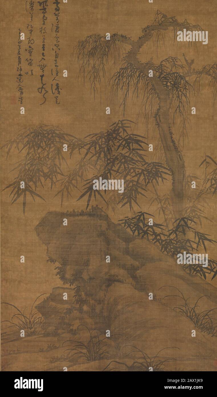 Bamboo old tree rock hi-res stock photography and images - Alamy