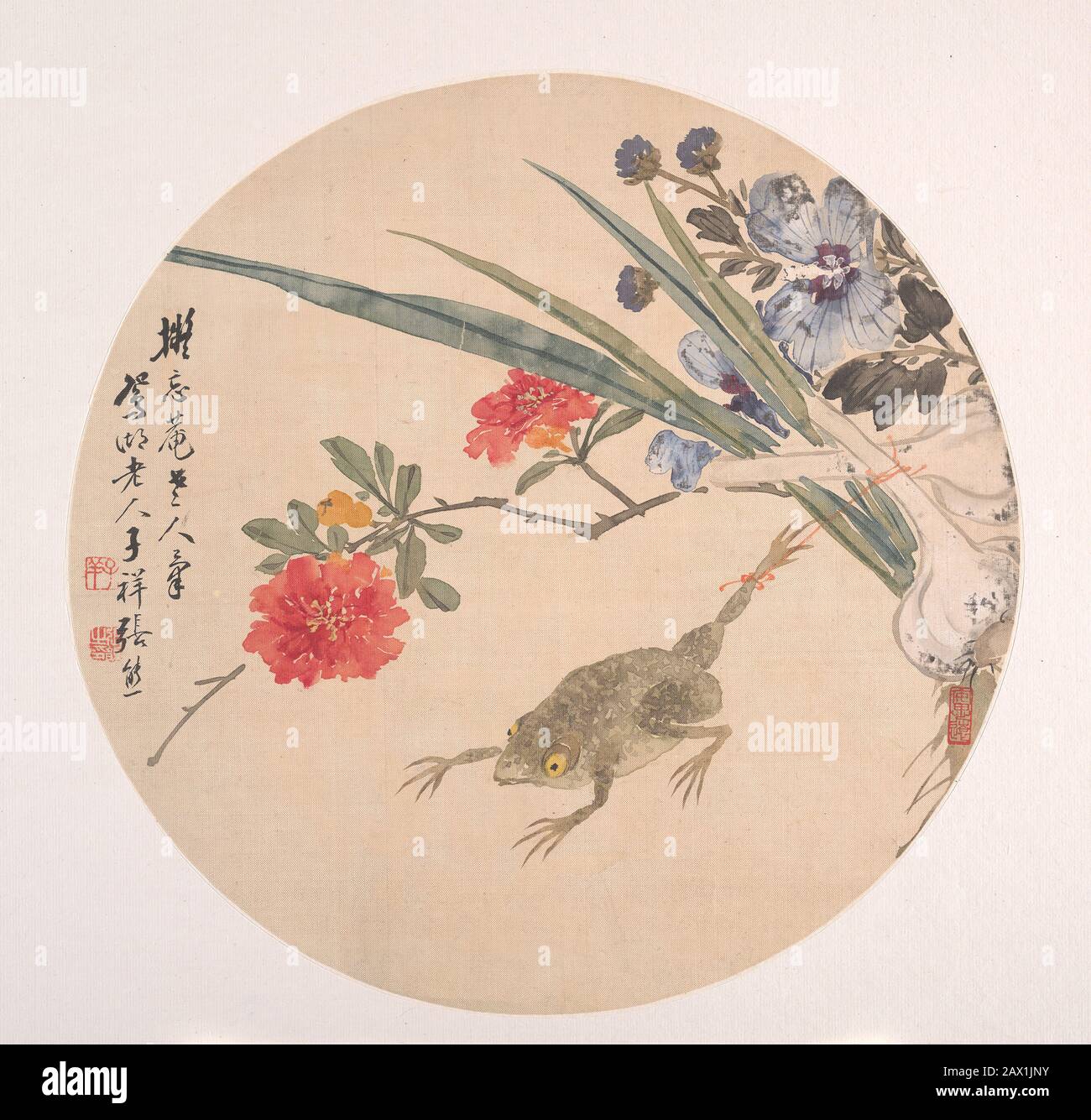 Flower and Toad Stock Photo - Alamy