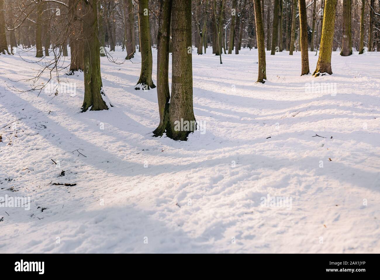 Footsteps shoe trail hi-res stock photography and images - Alamy