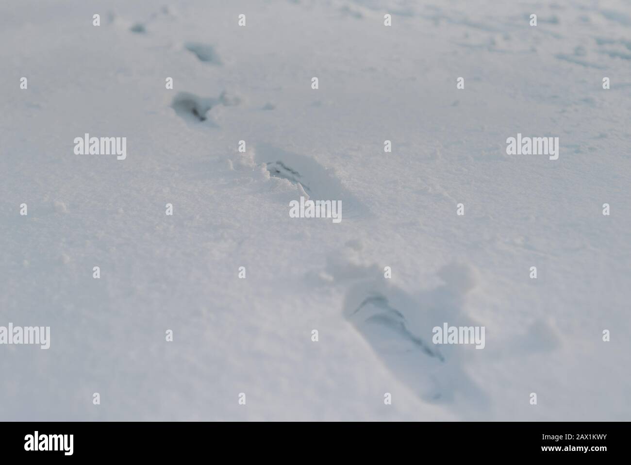 Footsteps in snow hi-res stock photography and images - Alamy