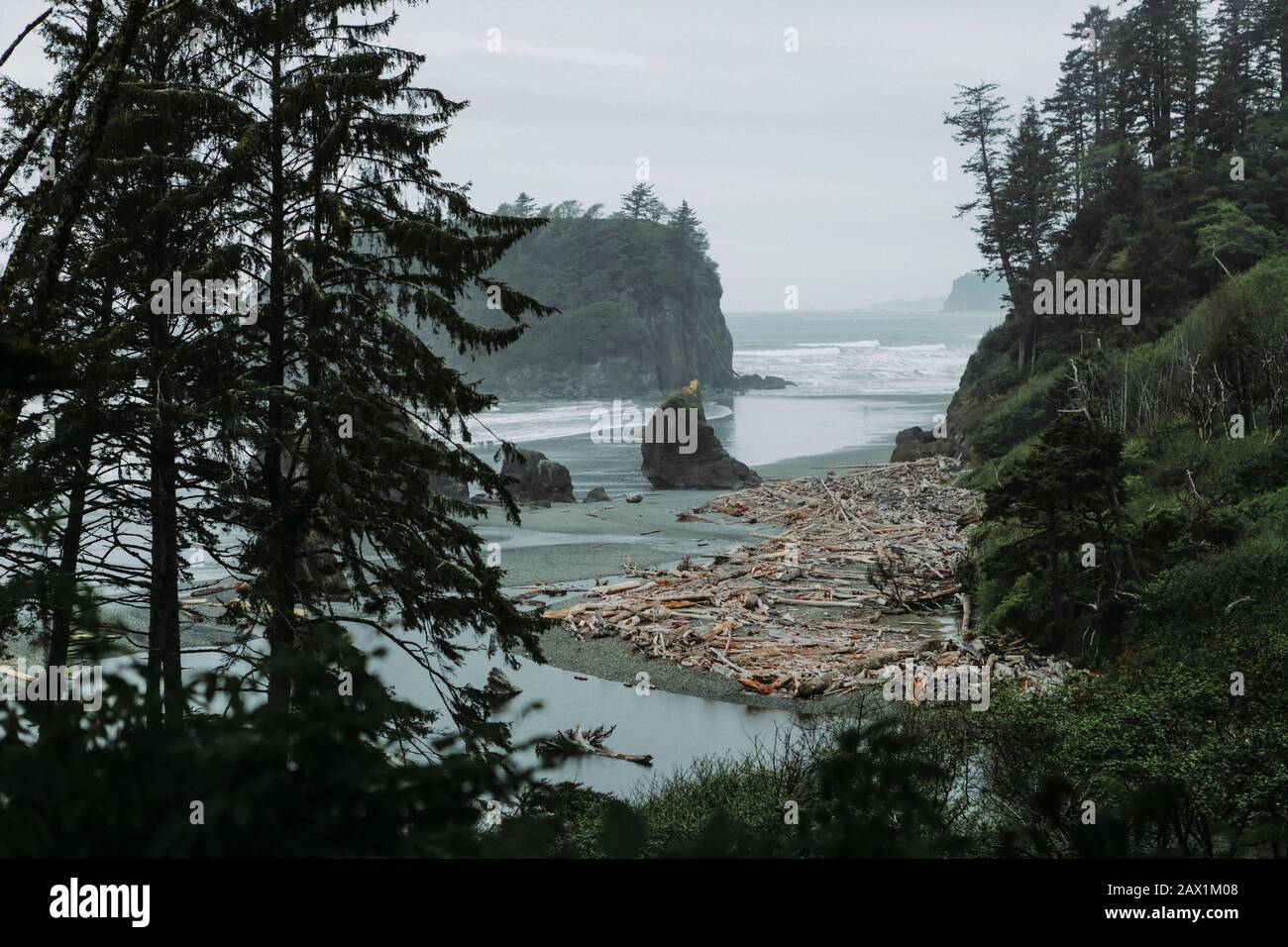 Dramatic sea stacks with drift wood on beach at Ruby Beach Washtington ...