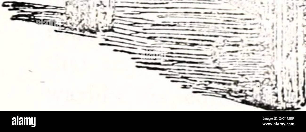 Baskerville family hi-res stock photography and images - Alamy