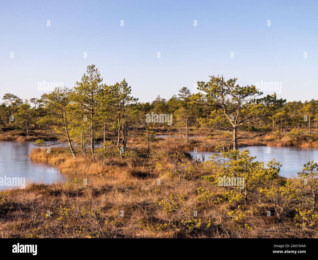 Beautiful glaciers hi-res stock photography and images - Alamy