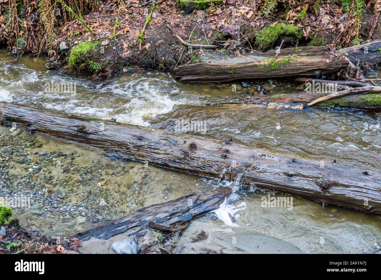 Rushing shot hi-res stock photography and images - Alamy