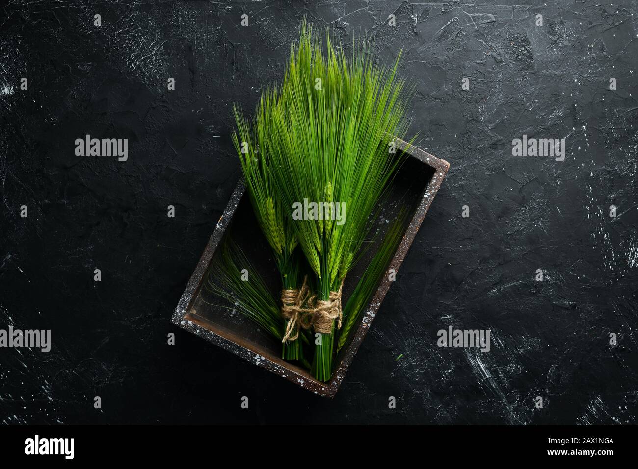 Green rye in a wooden box. On a wooden background. Top view. Free space ...