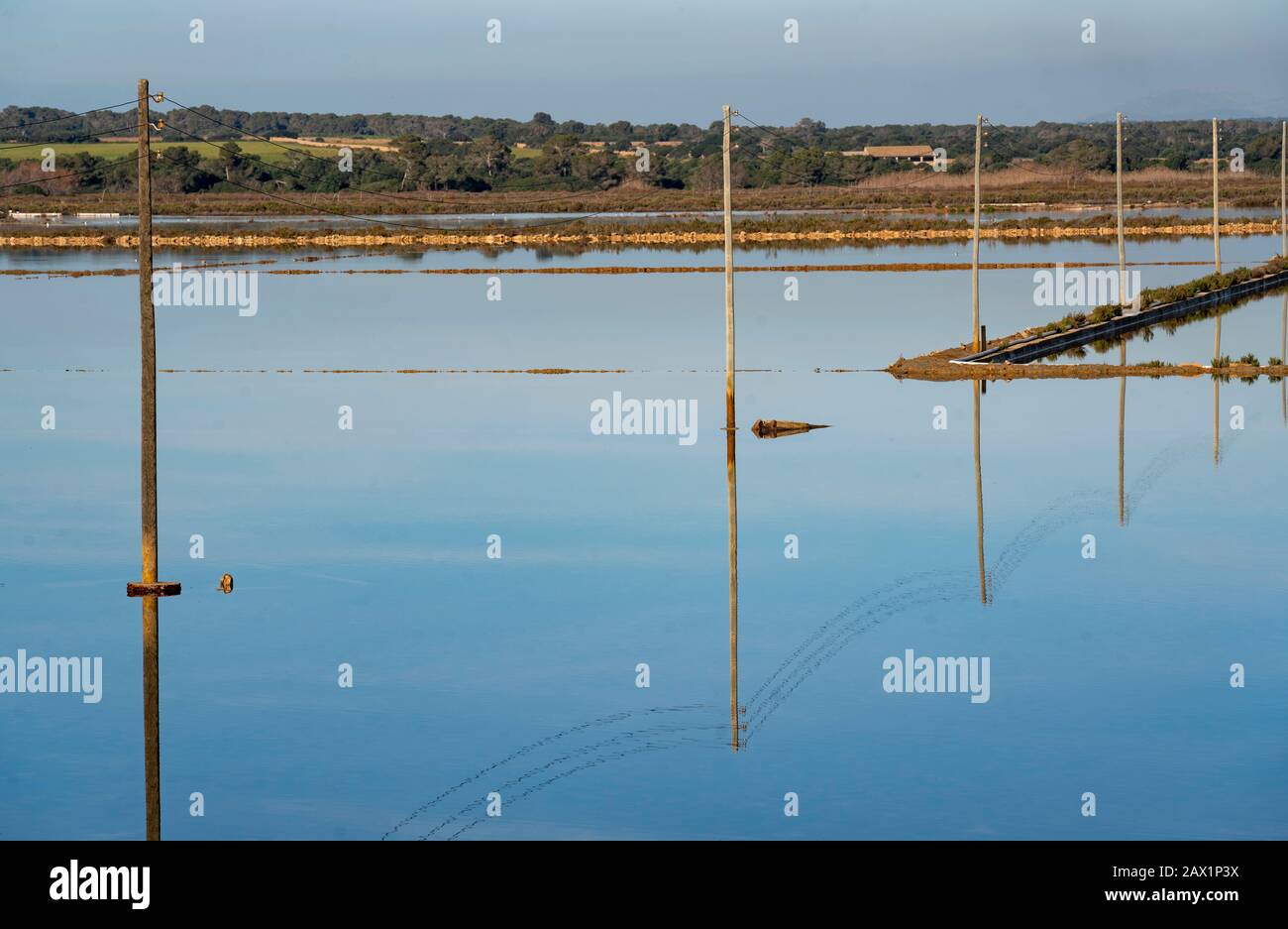 Flor de sal d'es trenc hi-res stock photography and images - Alamy