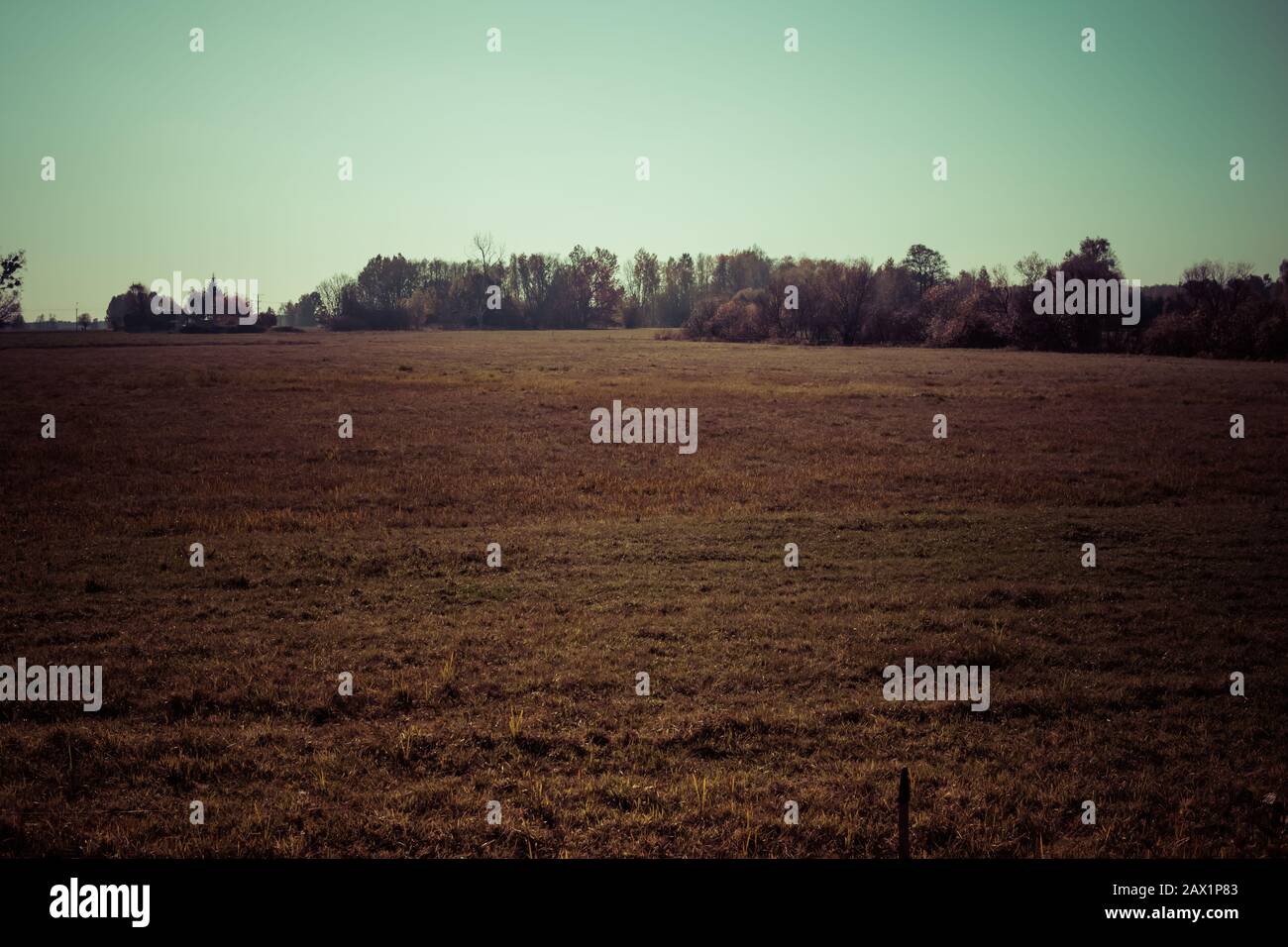 landscape with empty meadow at the beginning of autumn Stock Photo - Alamy