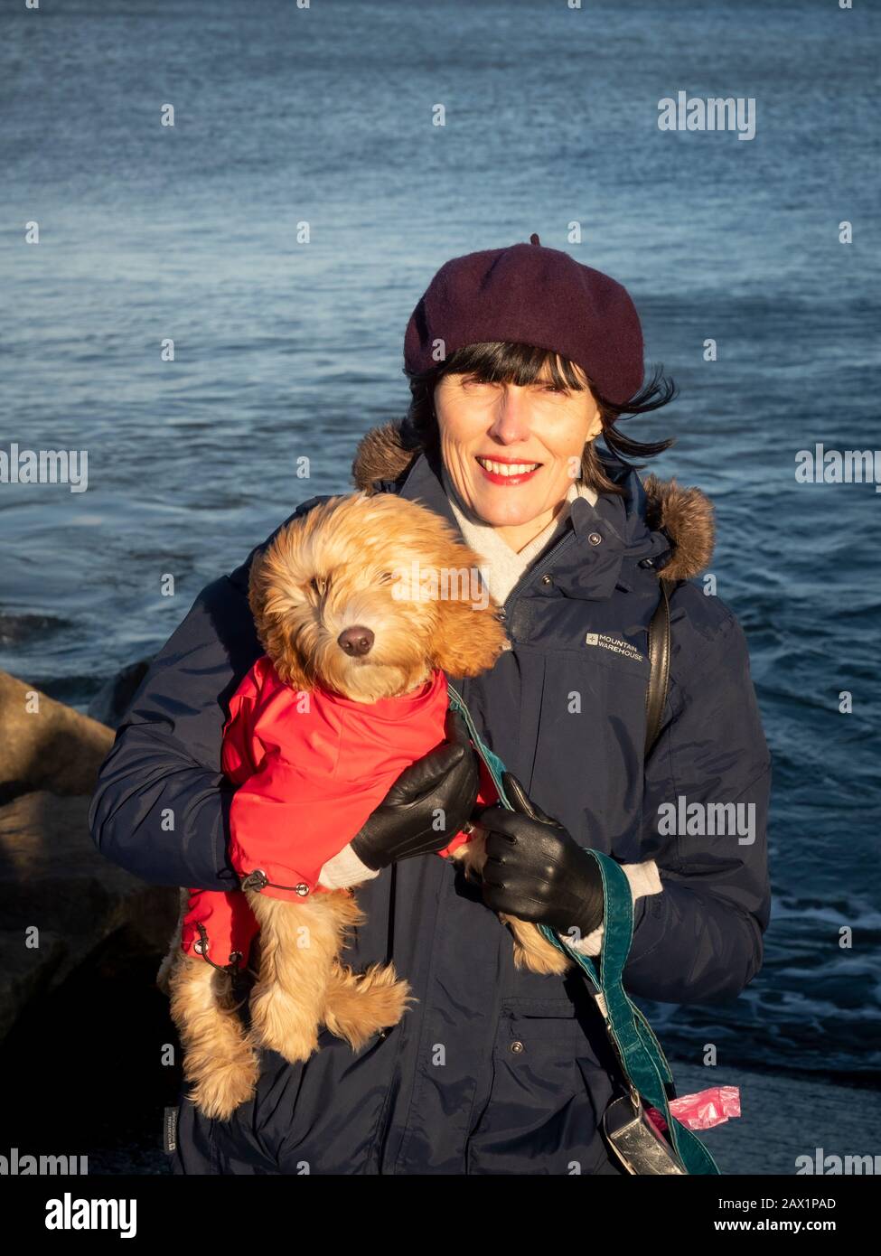 Woman holding cockapoo puppy hi-res stock photography and images - Alamy