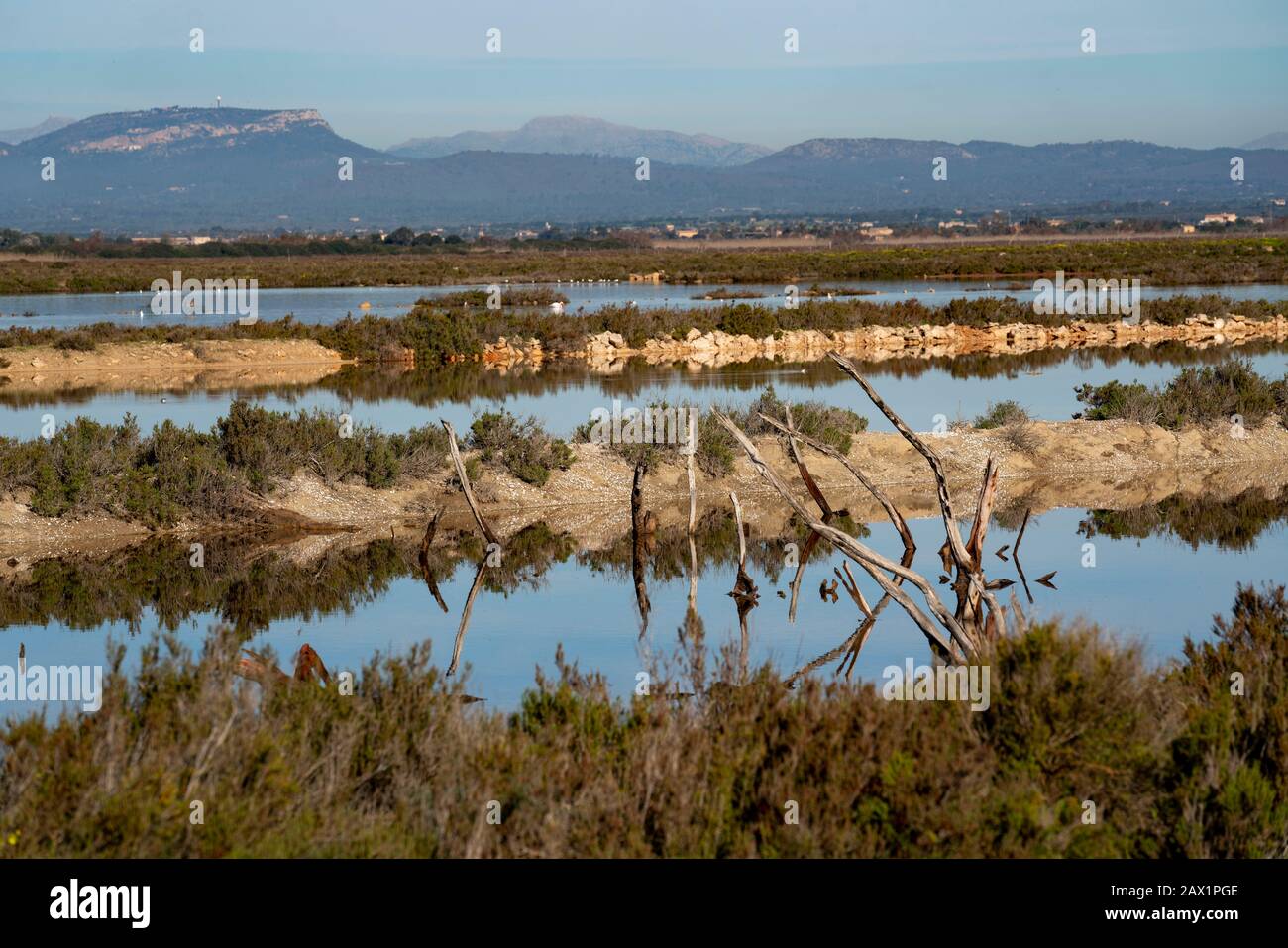The salt works of d'es Trenc, near Campos, Mallorca, Spain Stock Photo ...