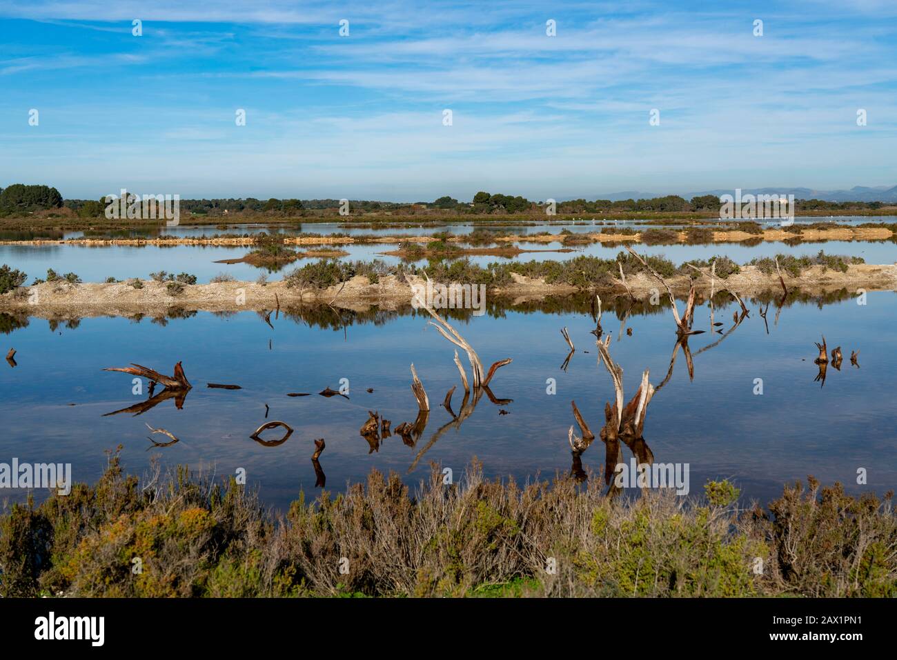 The salt works of d'es Trenc, near Campos, Mallorca, Spain Stock Photo ...