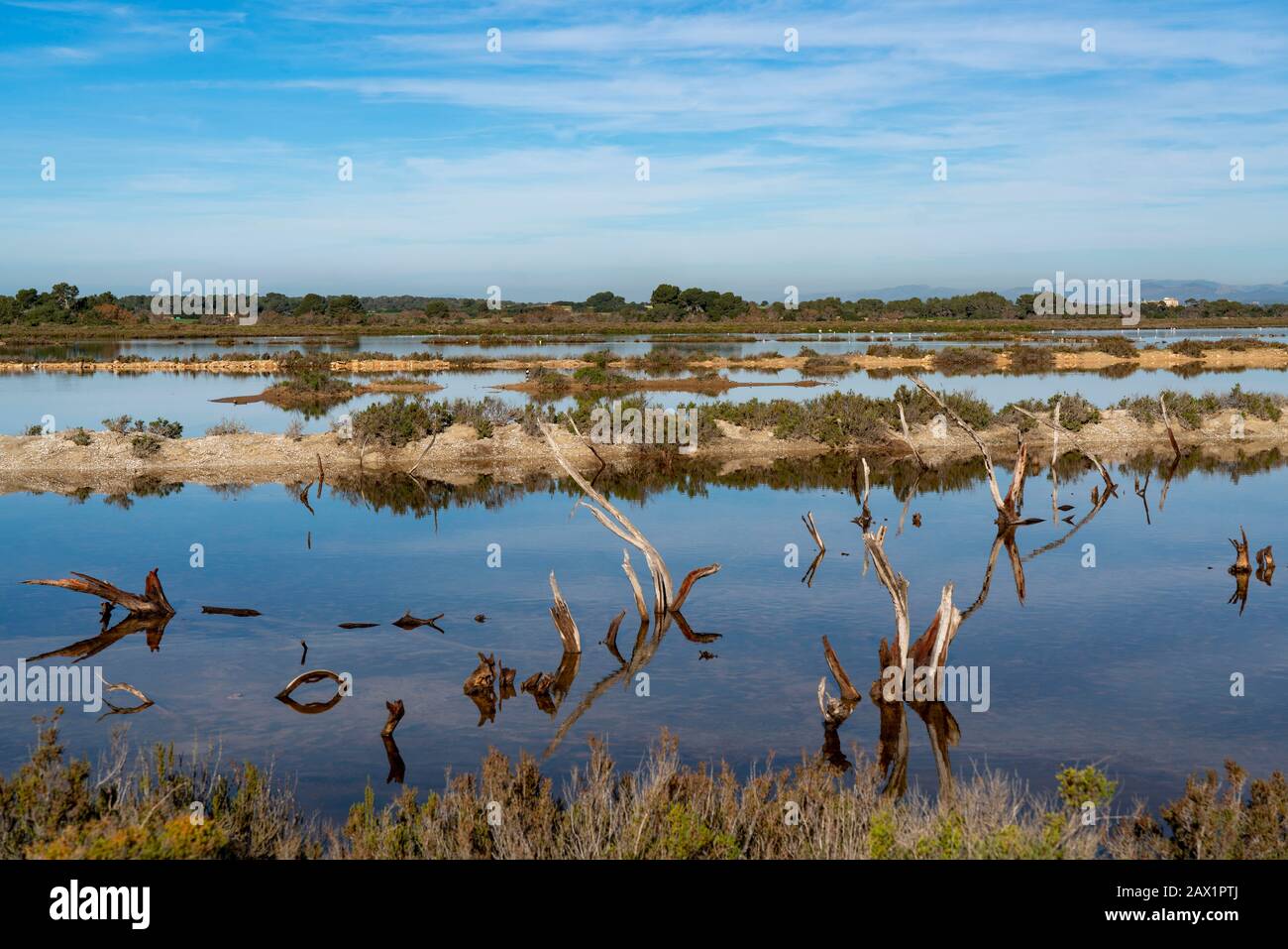 Flor de sal d'es trenc hi-res stock photography and images - Alamy
