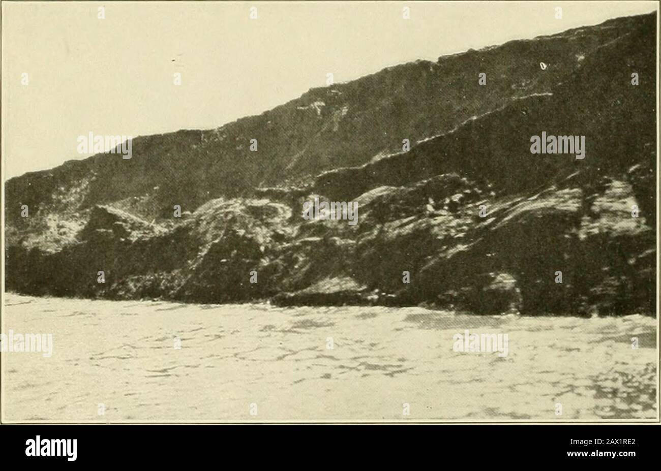 Natural history and propagation of fresh-water mussels . Fig. I.—Black ...
