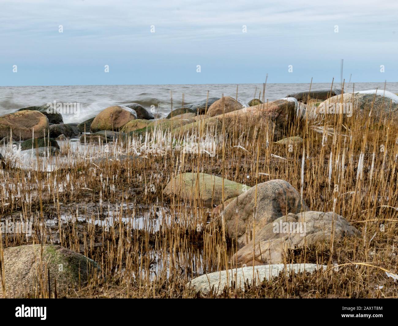 sea and wind made abstract formations of frozen dry reeds, icy rocks on ...