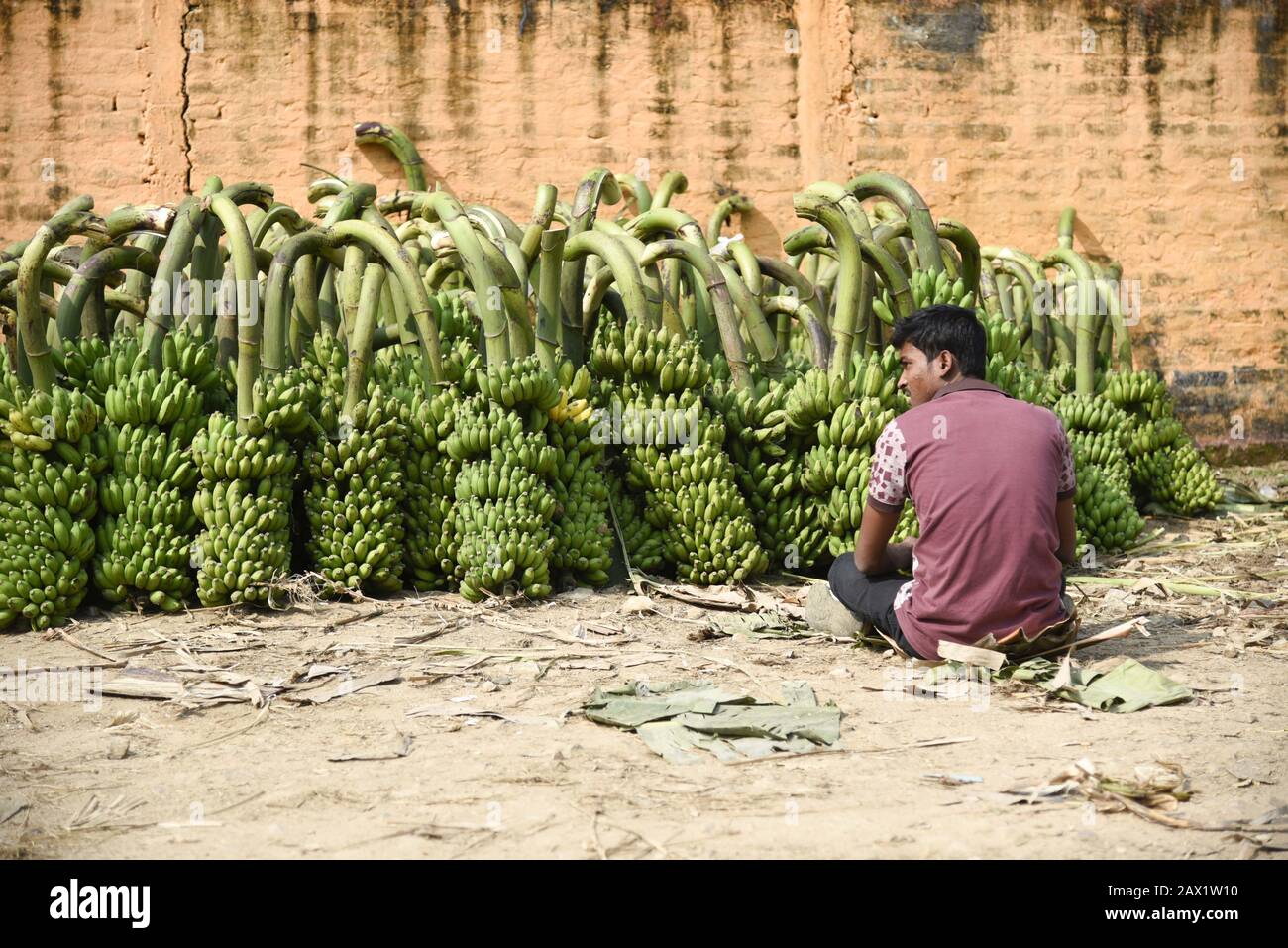 February 10, 2020, Goalpara, Assam, India: Fruit vendor selling banana ...