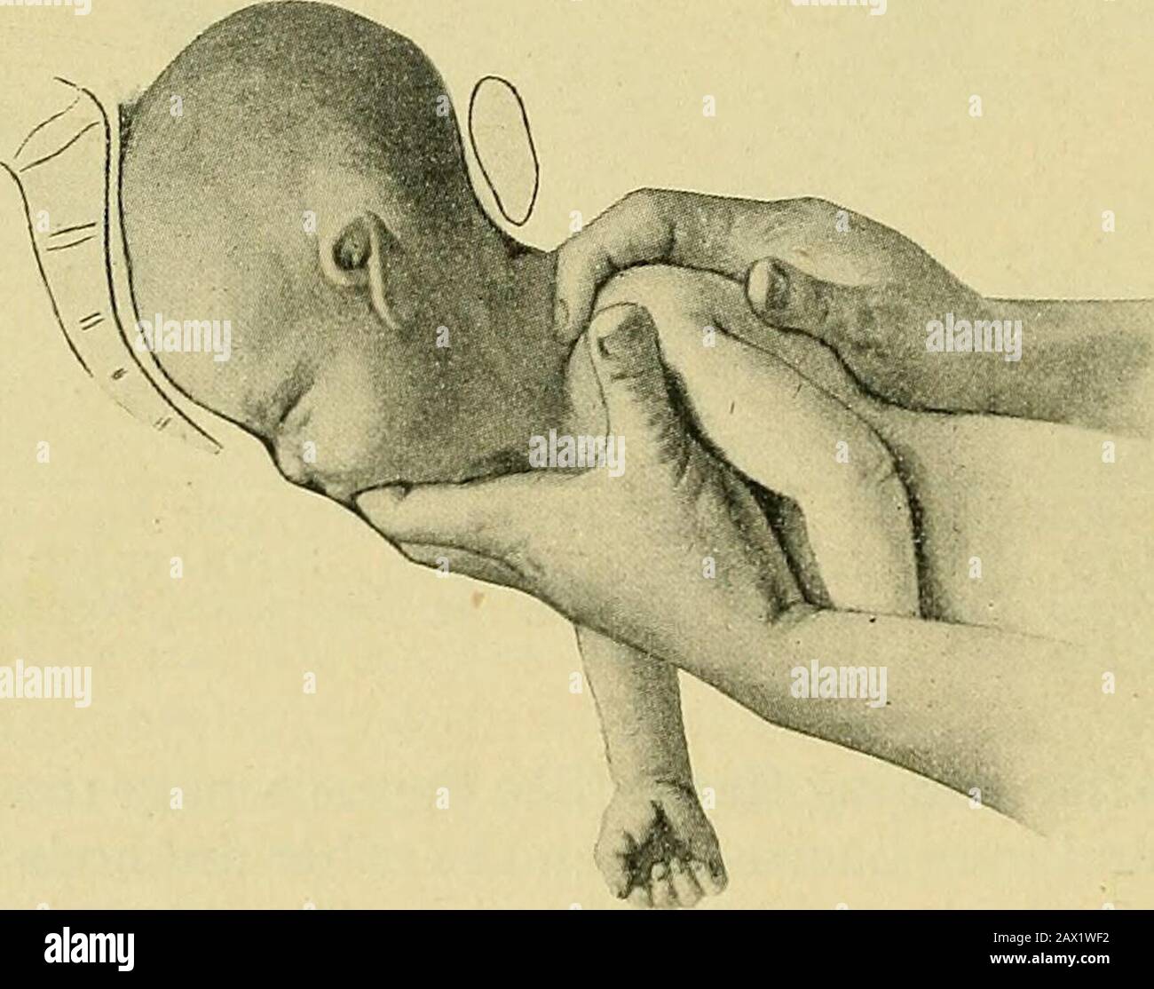 The practice of obstetrics, designed for the use of students and ...