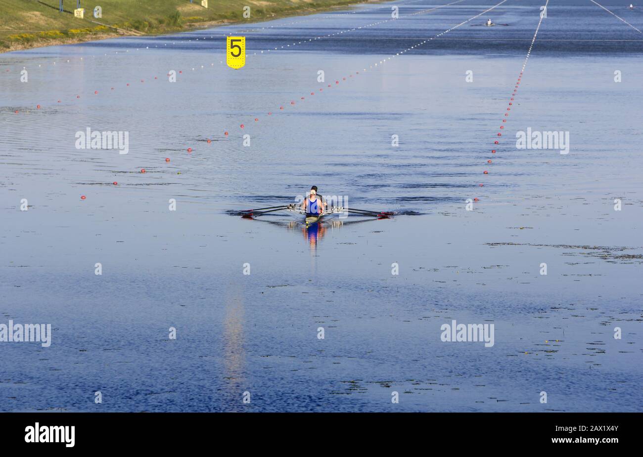 Rowing team competition hi-res stock photography and images - Alamy