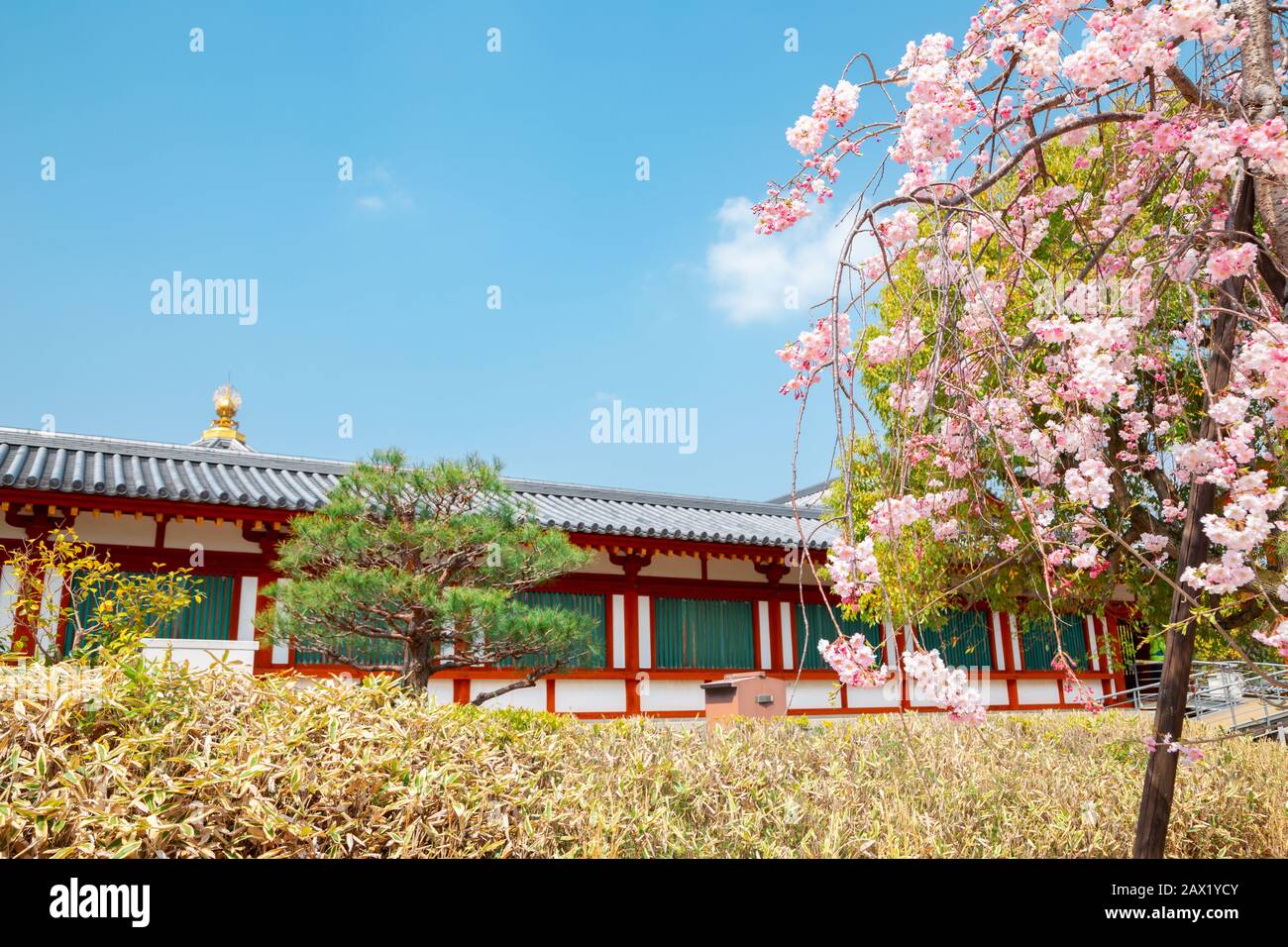 Yakushi spring hi-res stock photography and images - Alamy