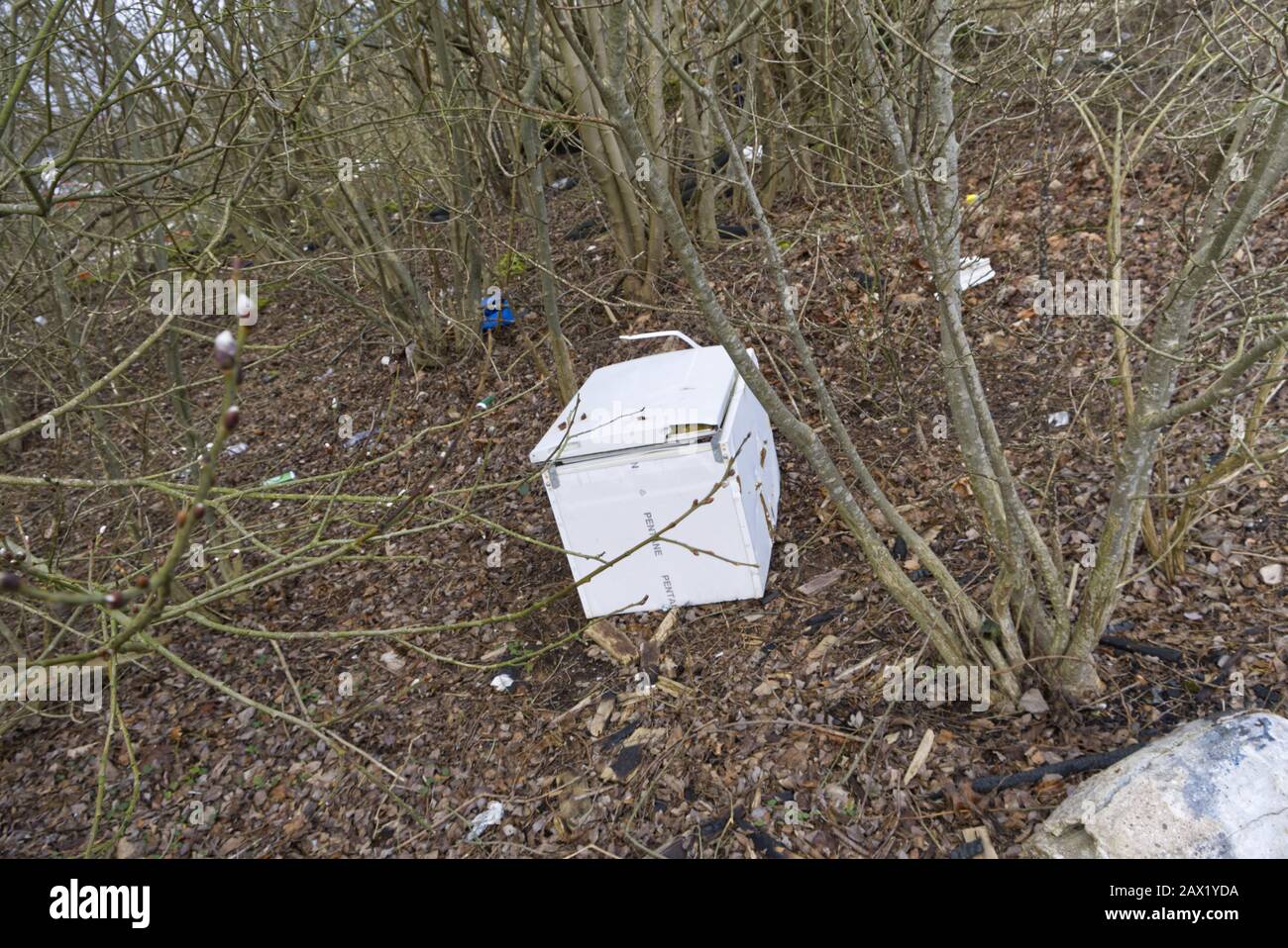 Views taken of how People abuse the Environment through both Ignorance ...