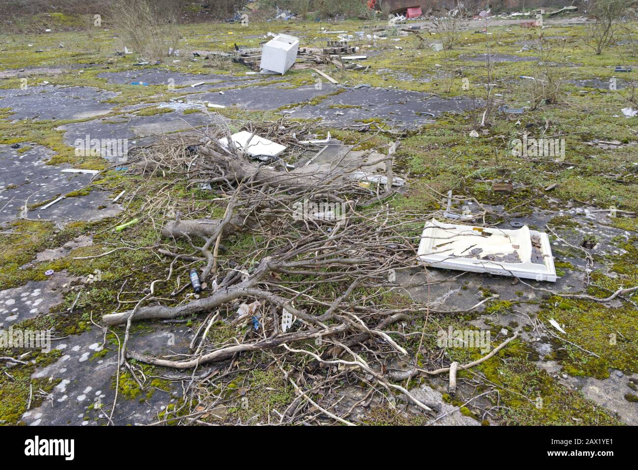 Views taken of how People abuse the Environment through both Ignorance ...