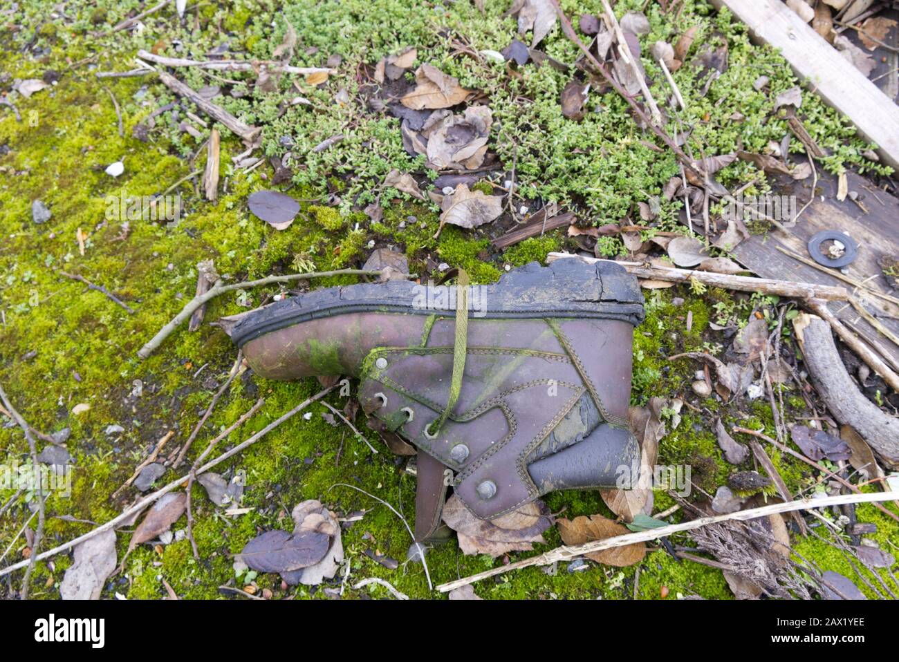 Views taken of how People abuse the Environment through both Ignorance ...