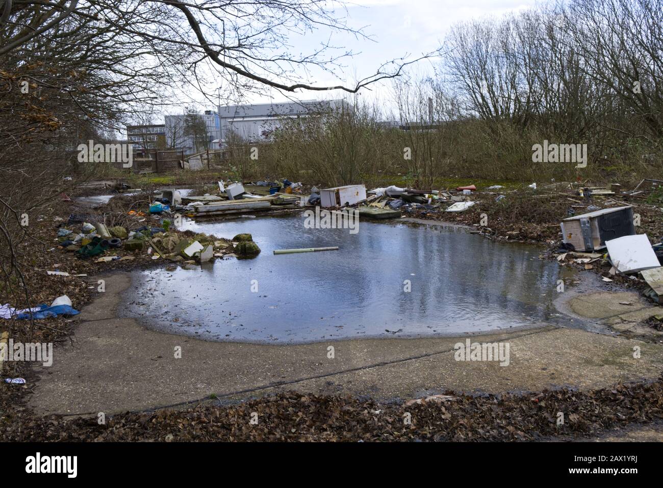 Views taken of how People abuse the Environment through both Ignorance ...