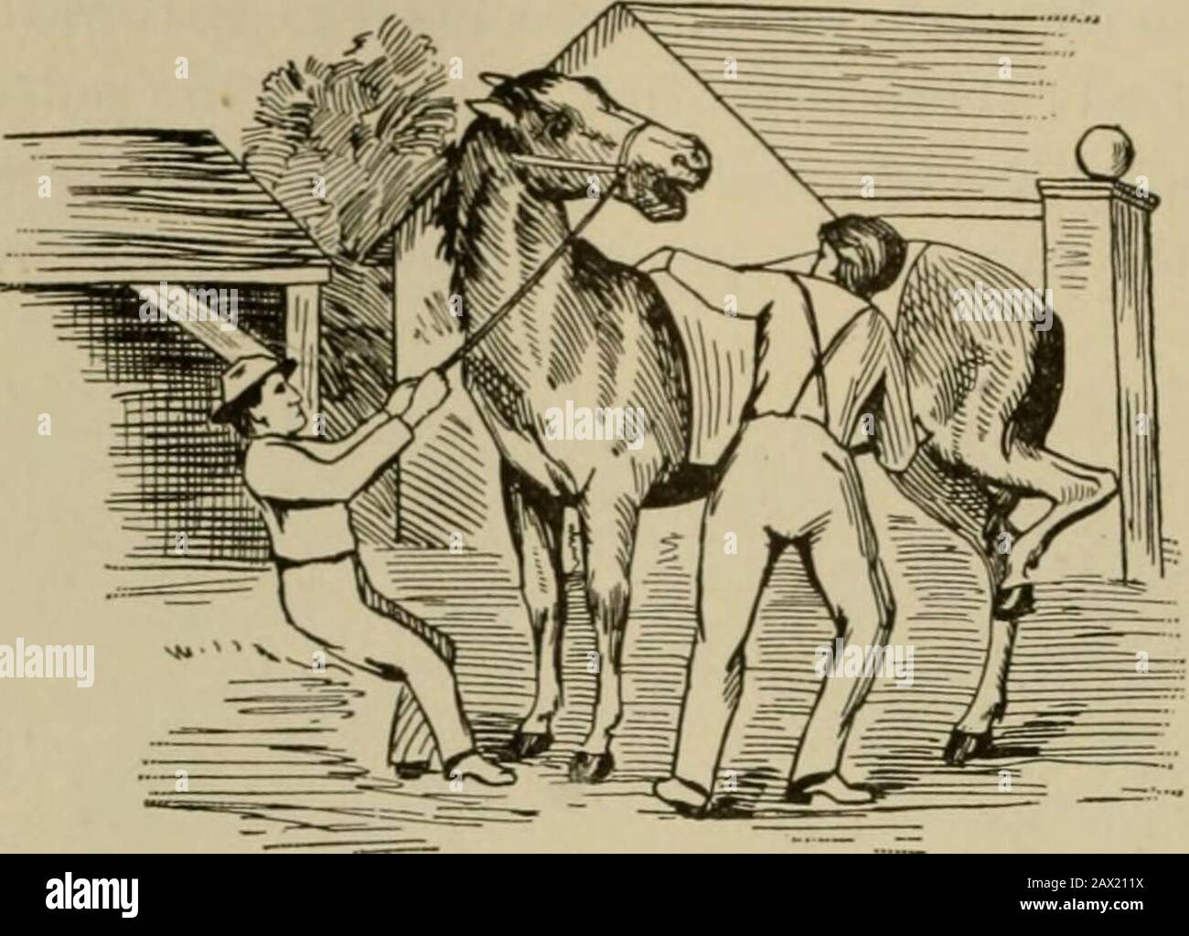 Painis hi-res stock photography and images - Alamy