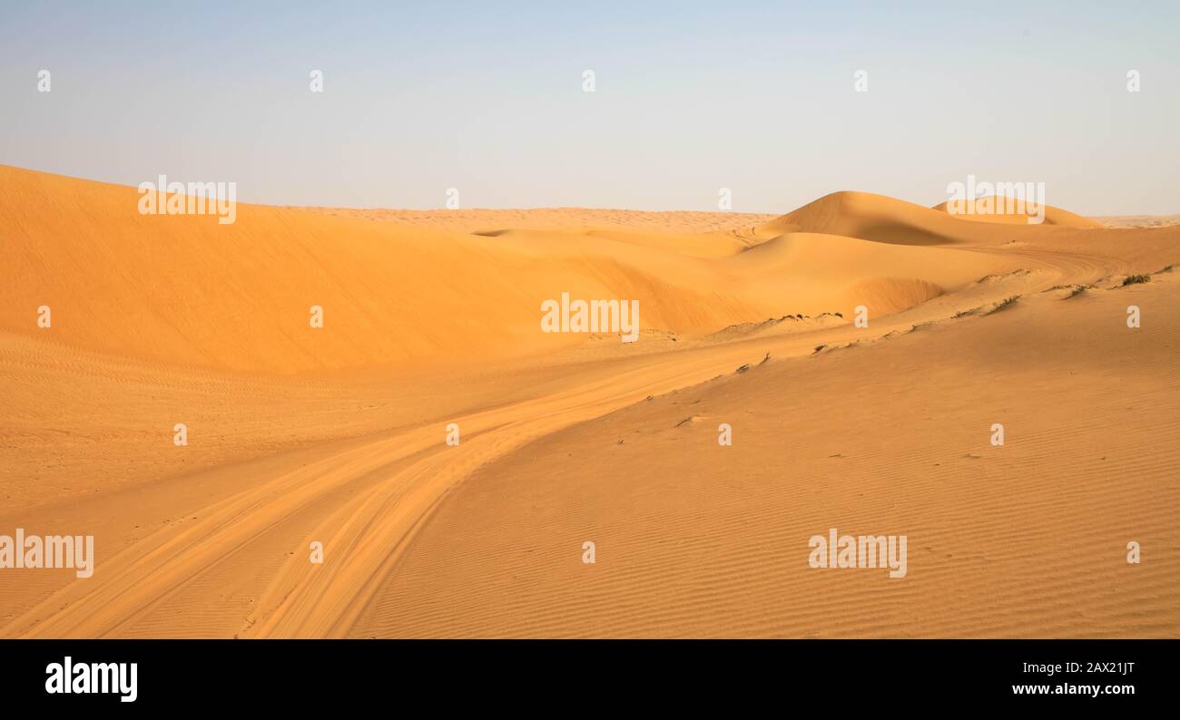 Beautiful landscape of orange desert, with sand dunes and horizon ...