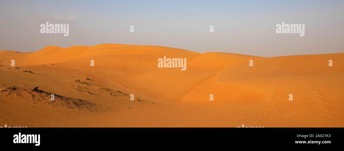 Beautiful landscape of orange desert, with sand dunes and horizon ...