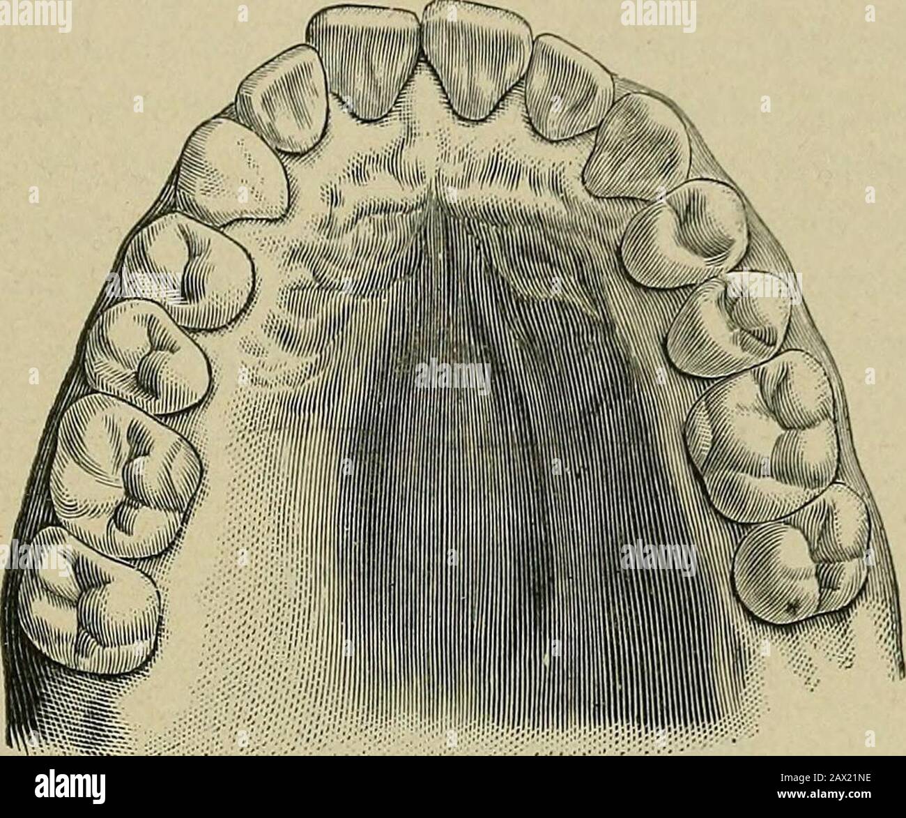 The etiology of osseous deformities of the head, face, jaws and teeth ...