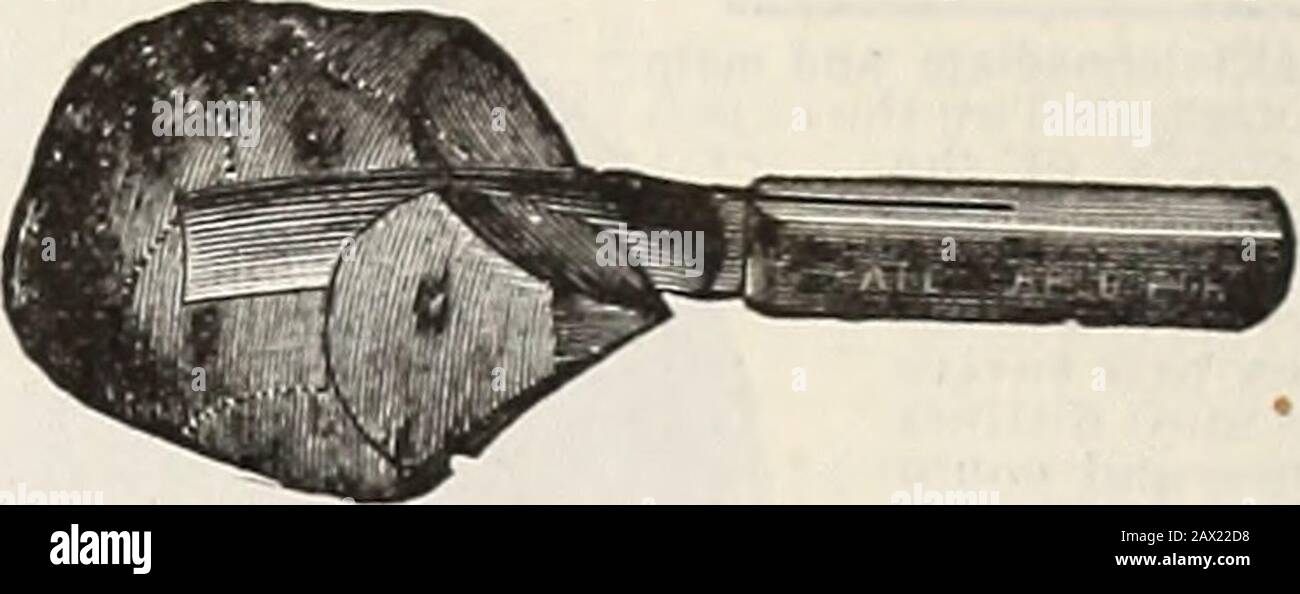 Curved potatoes hi-res stock photography and images - Alamy