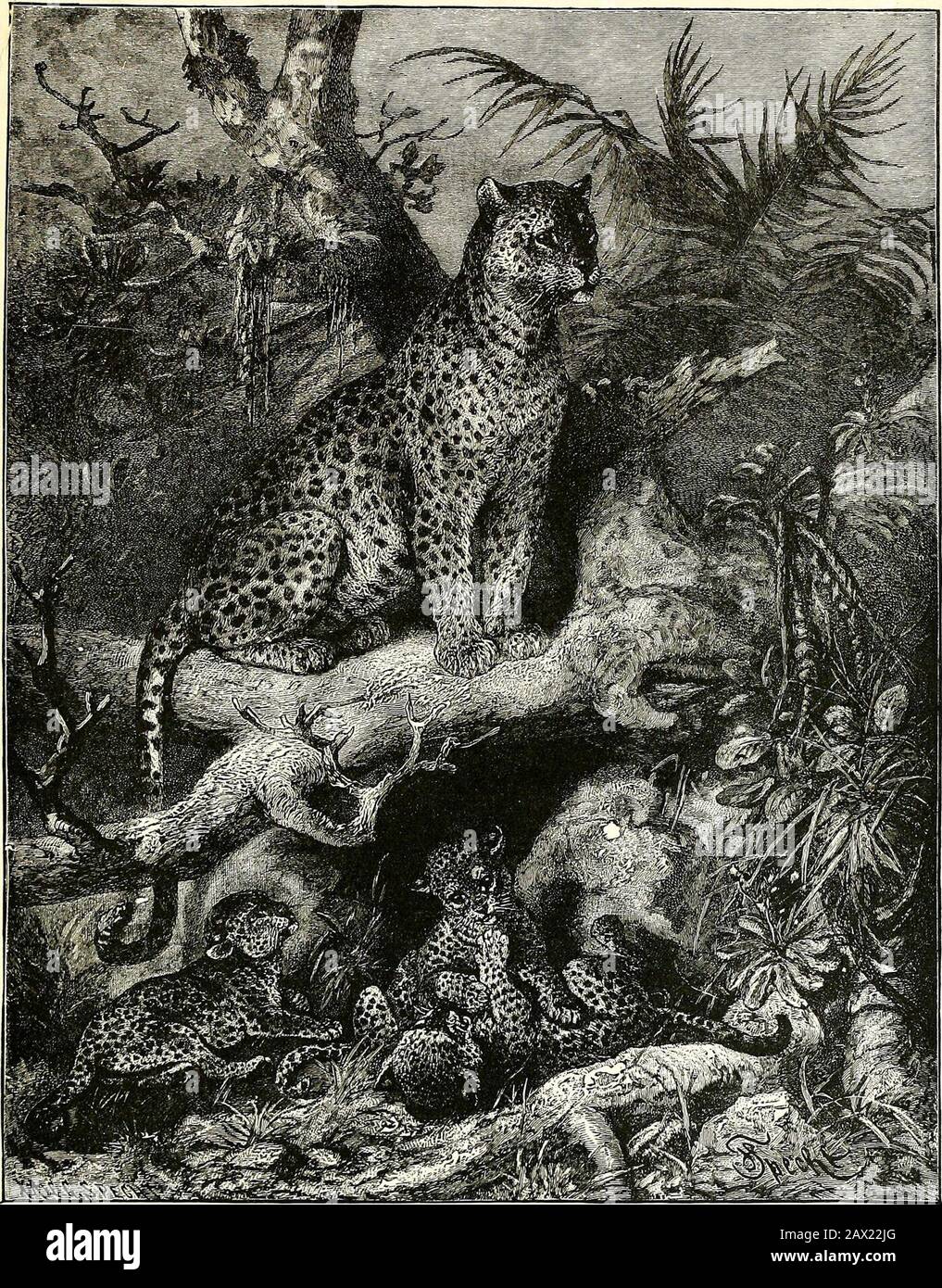 All about animalsFacts, stories and anecdotes . with it. Another clever ...