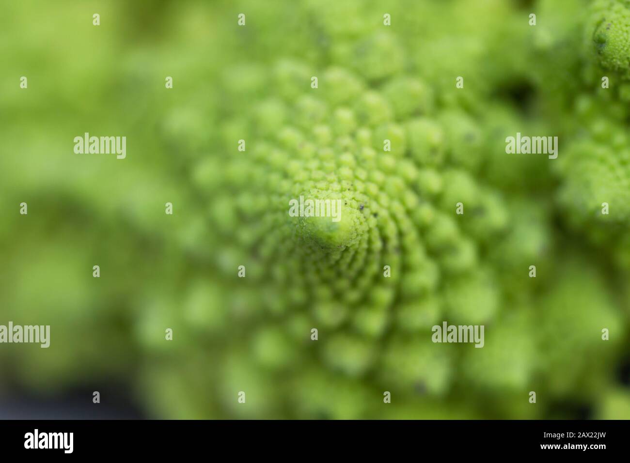 Fibonacci hi-res stock photography and images - Alamy