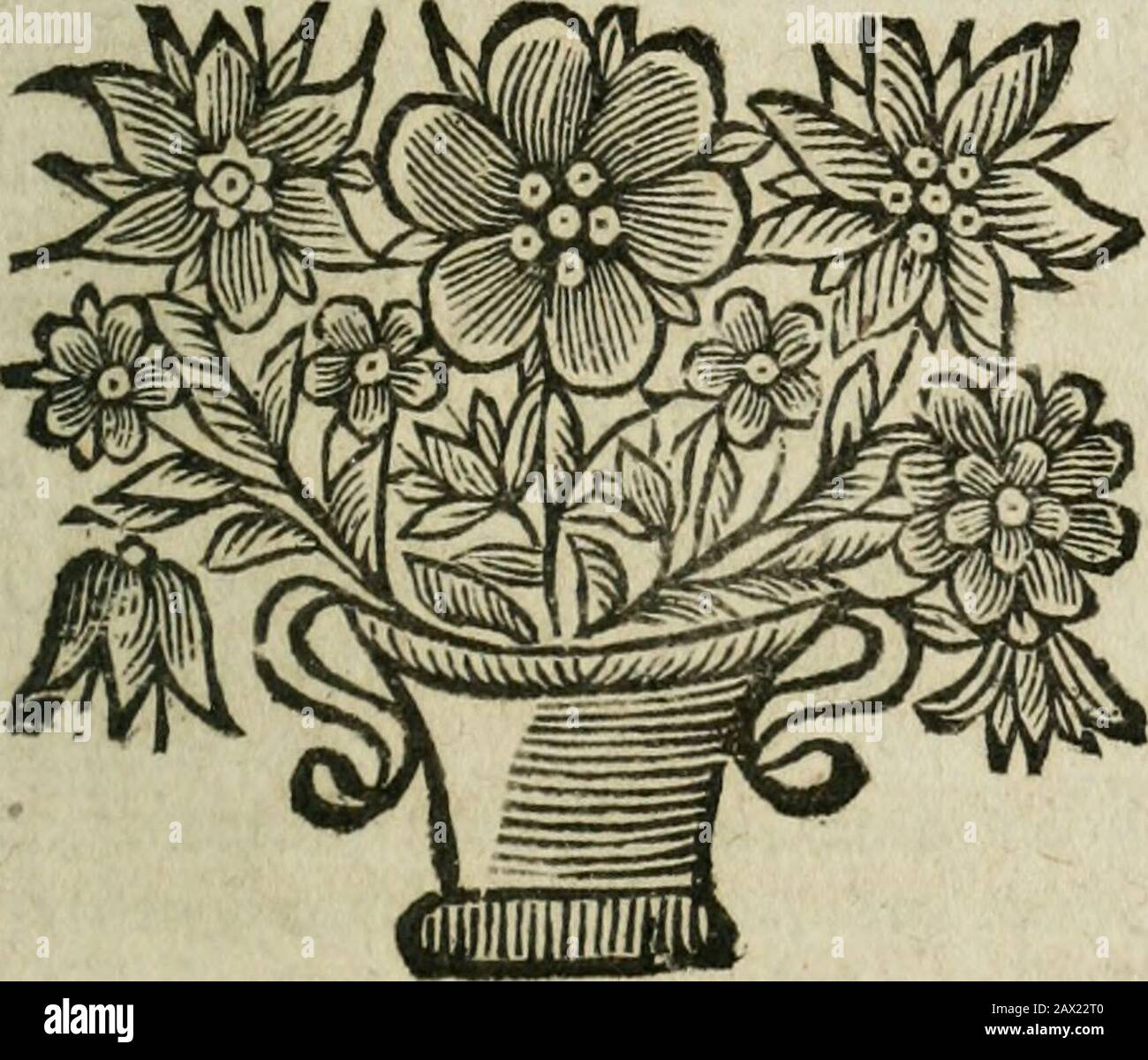 Meo font hi-res stock photography and images - Alamy