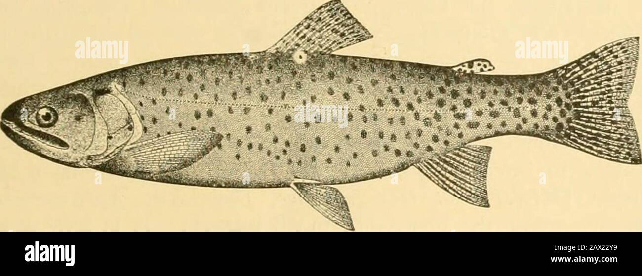 Al norte del río grande hi-res stock photography and images - Alamy