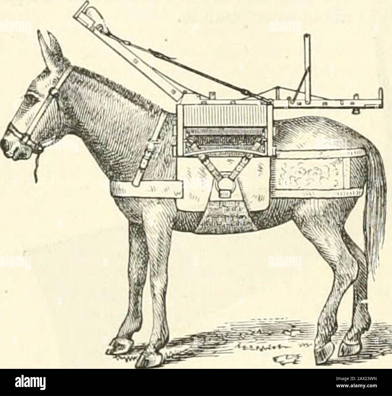 Folded compactly hi-res stock photography and images - Alamy