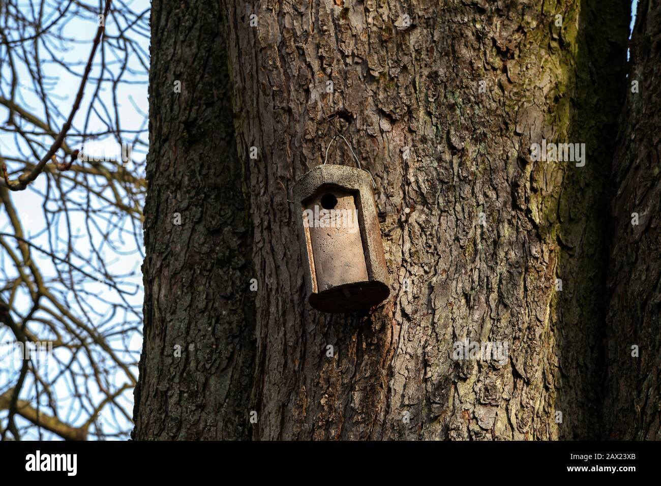 Natural tree bird box hi-res stock photography and images - Alamy