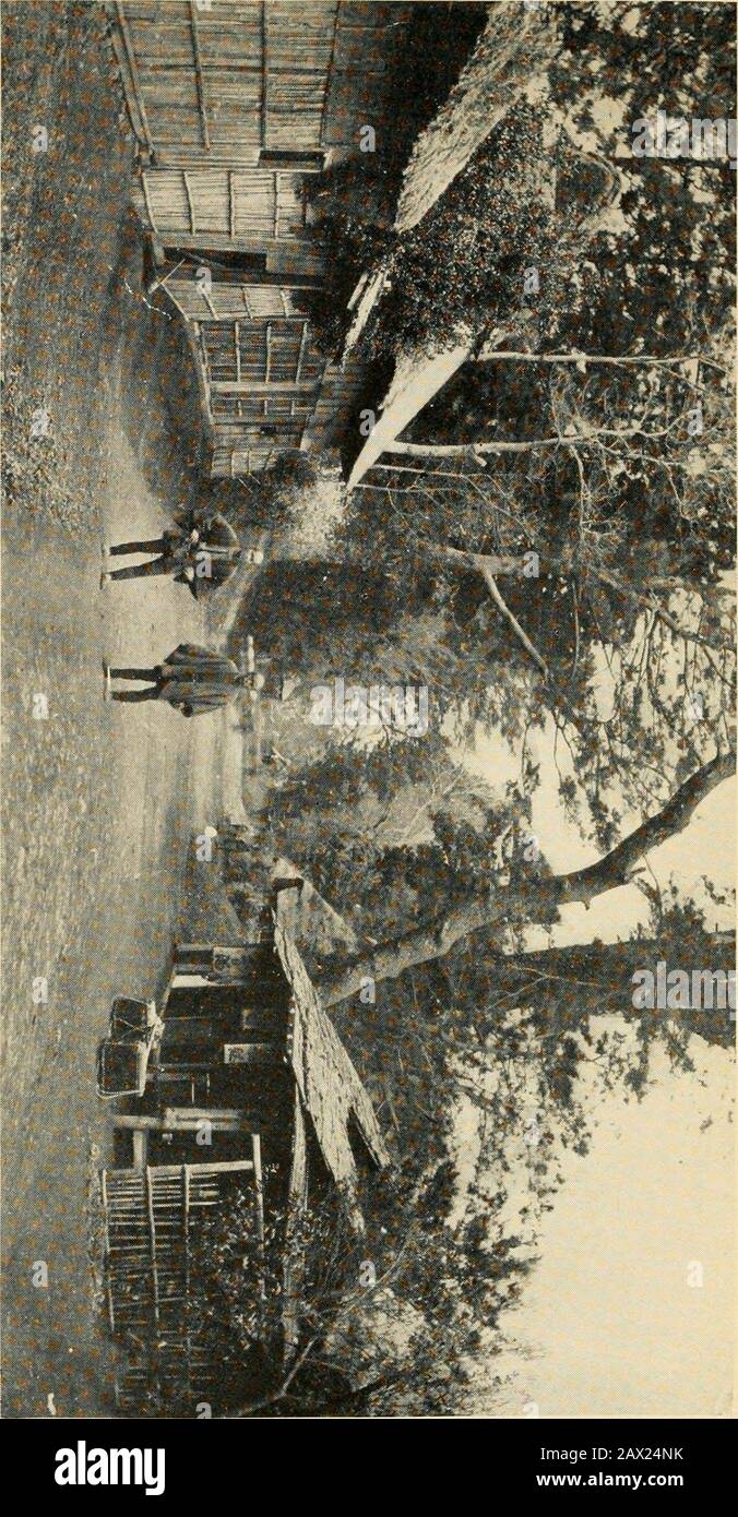 Sleeping watchmen hi-res stock photography and images - Alamy